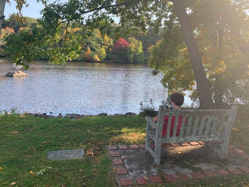 Weekend Day Trip: Flying Horse Outdoor Sculpture Exhibit at Pingree ...