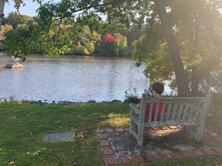 Weekend Day Trip: Flying Horse Outdoor Sculpture Exhibit at Pingree ...